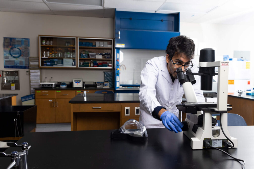 BS in Biochemistry | University of Michigan-Flint College of Innovation ...